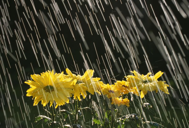 PRIMAVERA | Retorno da chuva no Paraná e condição de geada no RS
